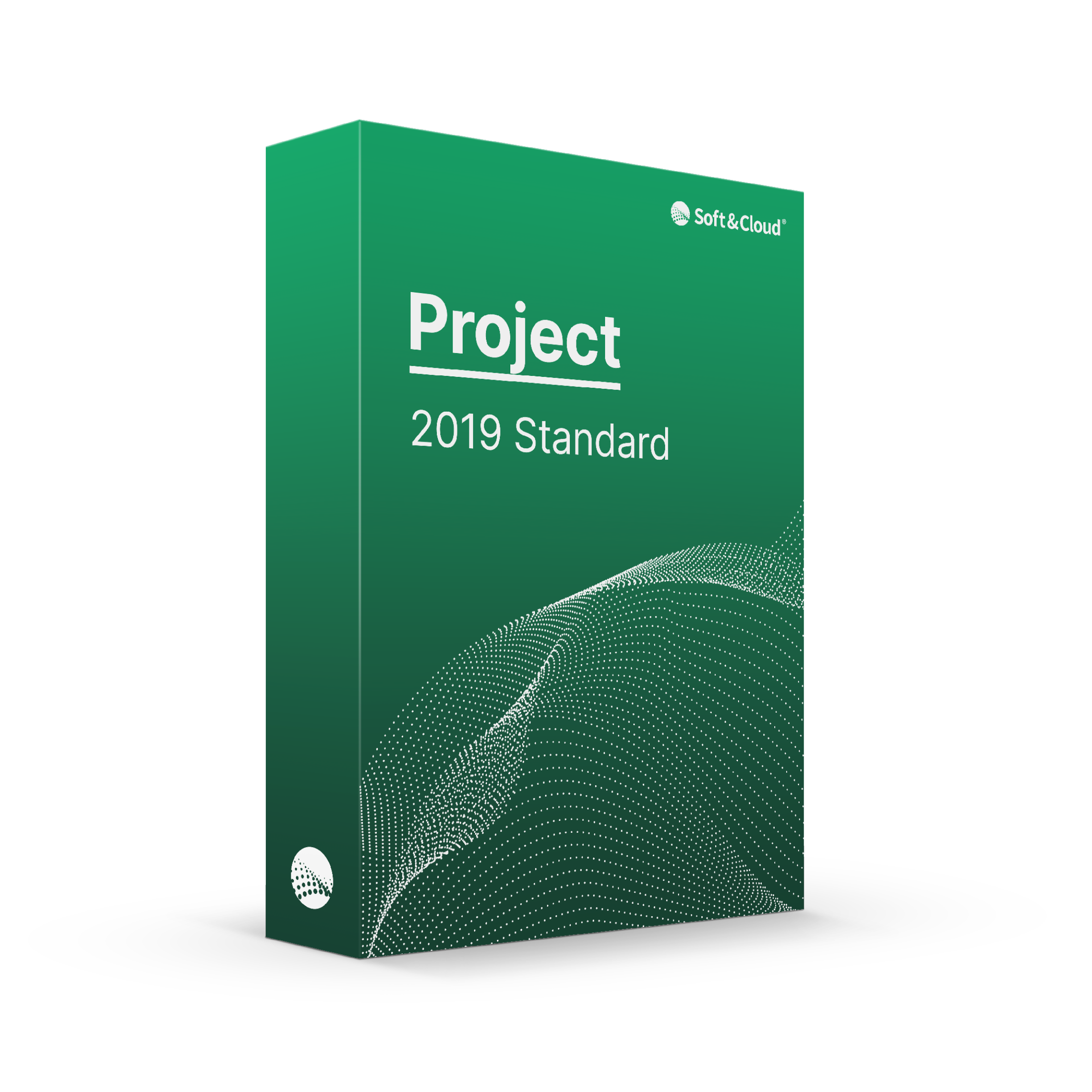Microsoft Project 2019 Standard usado